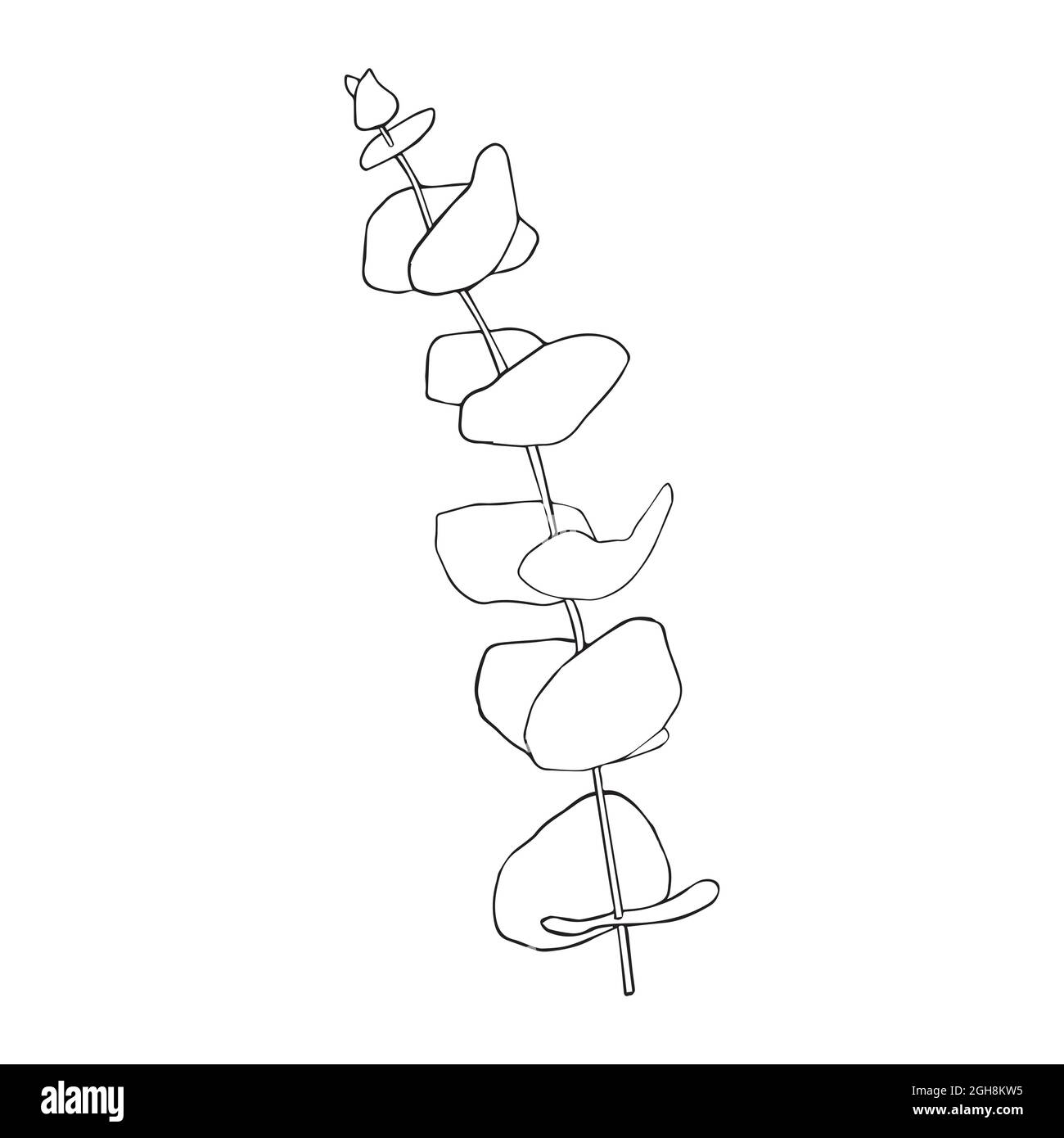 Eucalyptus silver dollar branch continuous line drawing. One line ...