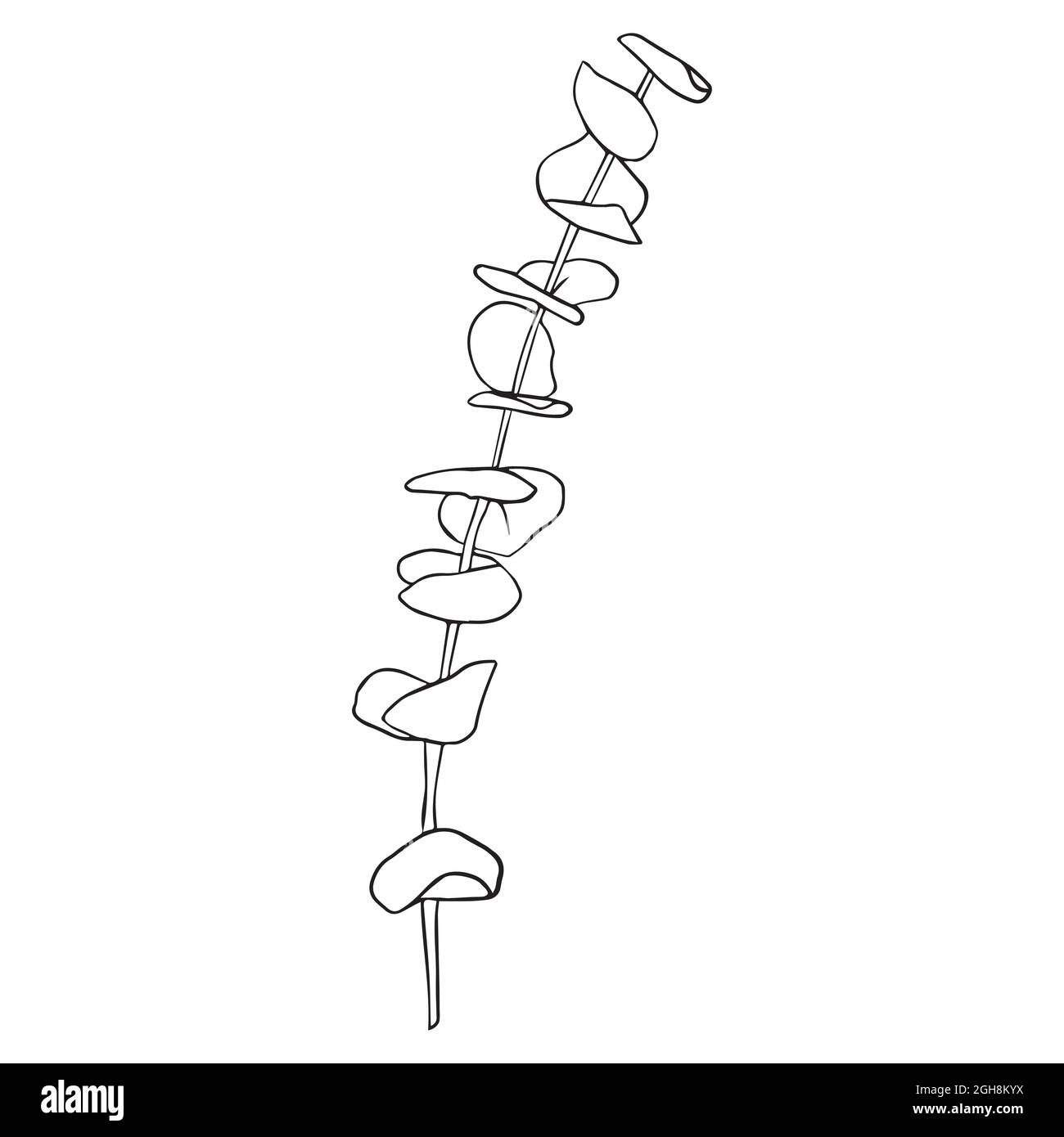 Eucalyptus silver dollar branch continuous line drawing. One line ...