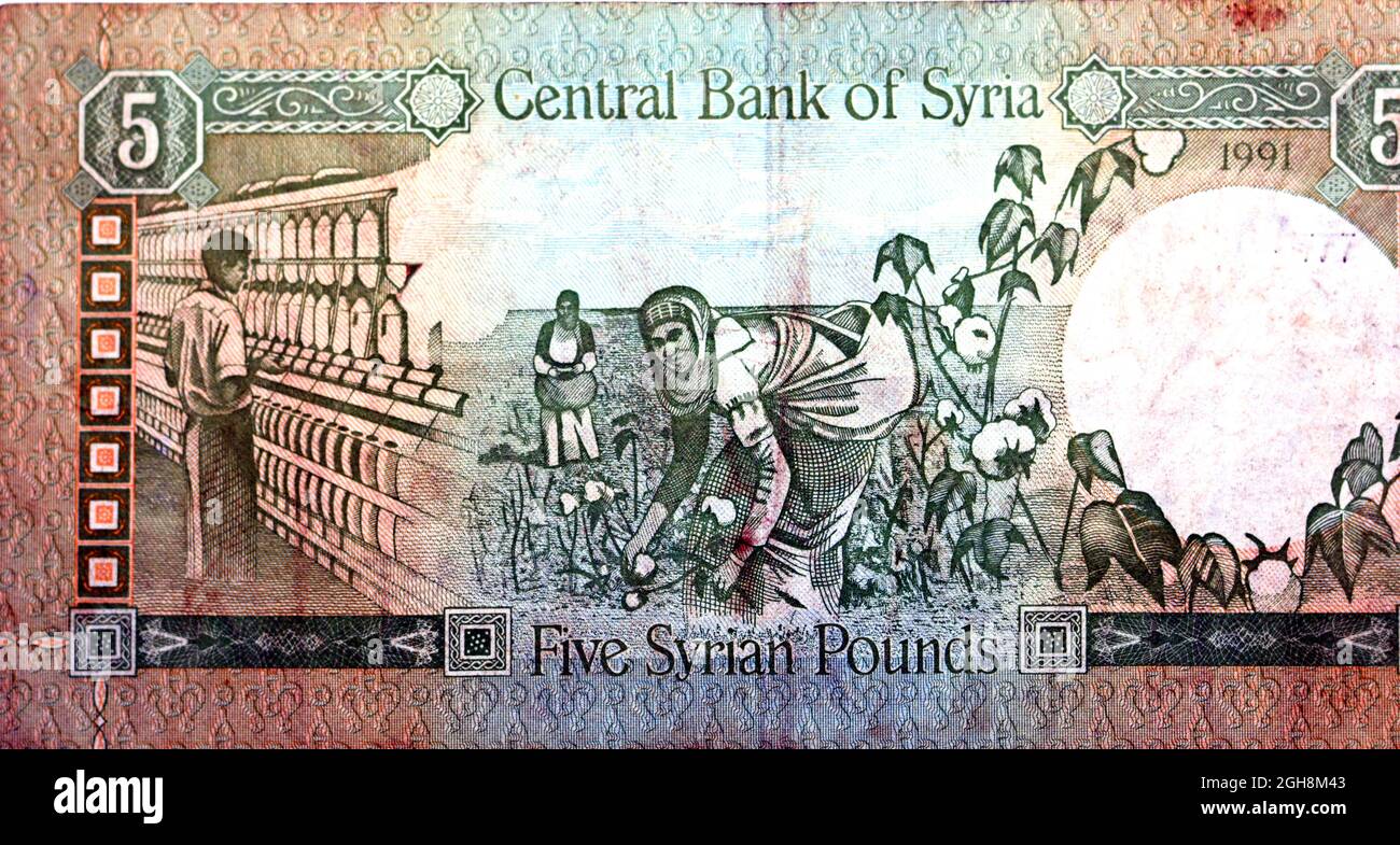 Large fragment of the reverse side of 5 Five Syrian pounds Livres year ...