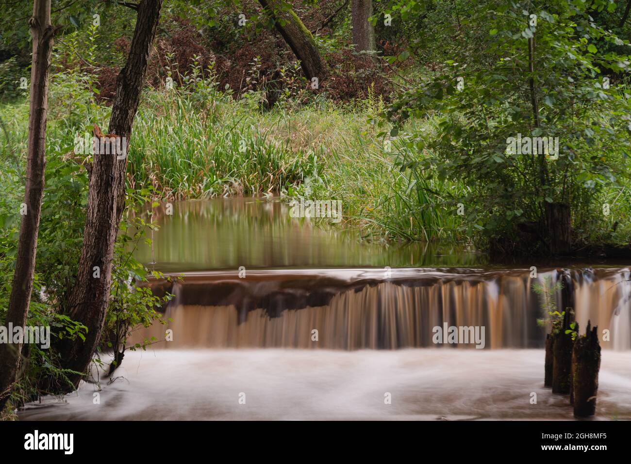 A small, narrow, lowland river. There is a sill across the river ...