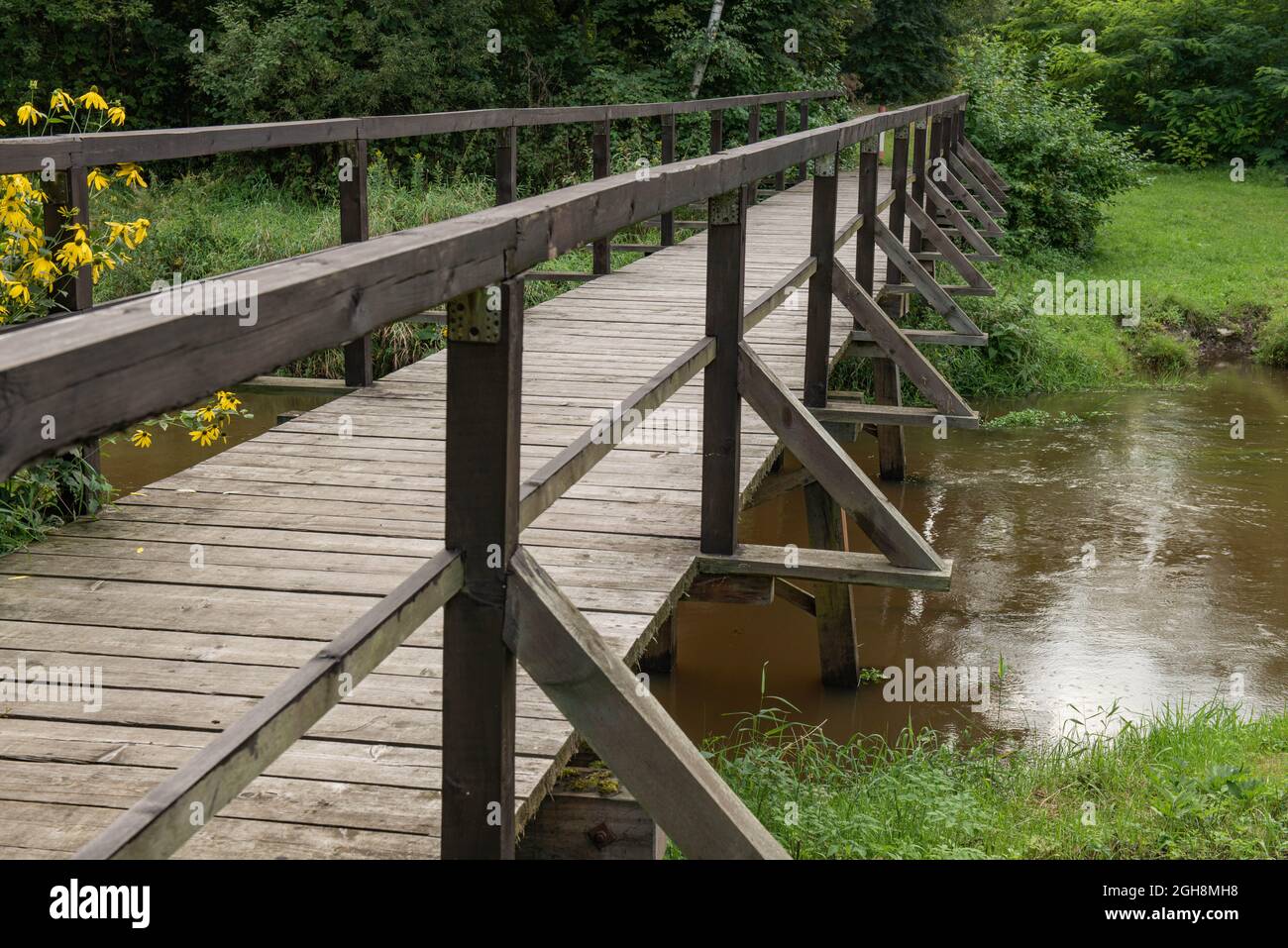 A wooden footbridge over the river flowing through the forest Stock ...