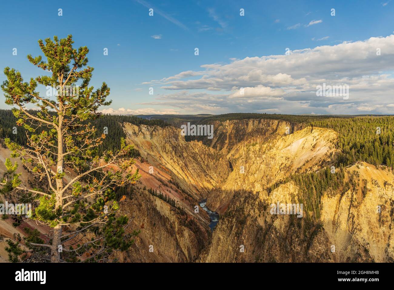 Yellowstone Canyon and Yellowstone River, Yellowstone National Park ...