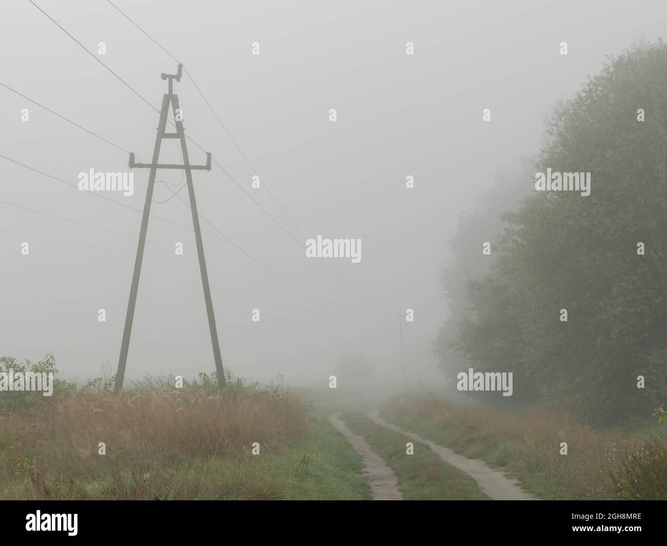 Flat, vast terrain. Fields and meadows. A dense layer of morning fog ...