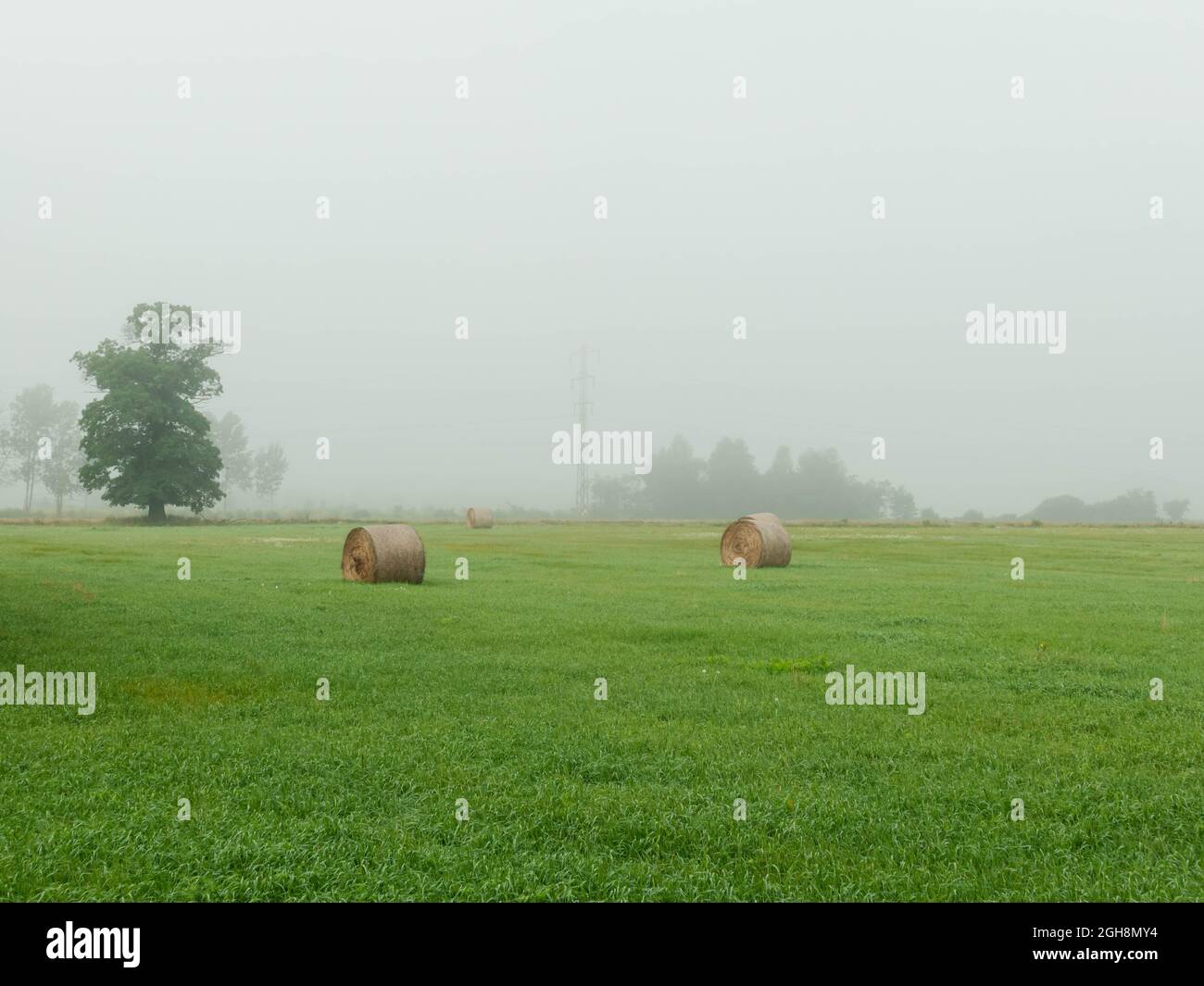 Flat, vast terrain. Fields and meadows. A dense layer of morning fog ...