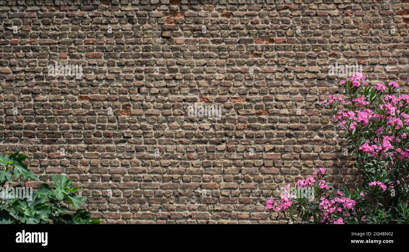Brick stone wall with flowers in front Stock Photo - Alamy