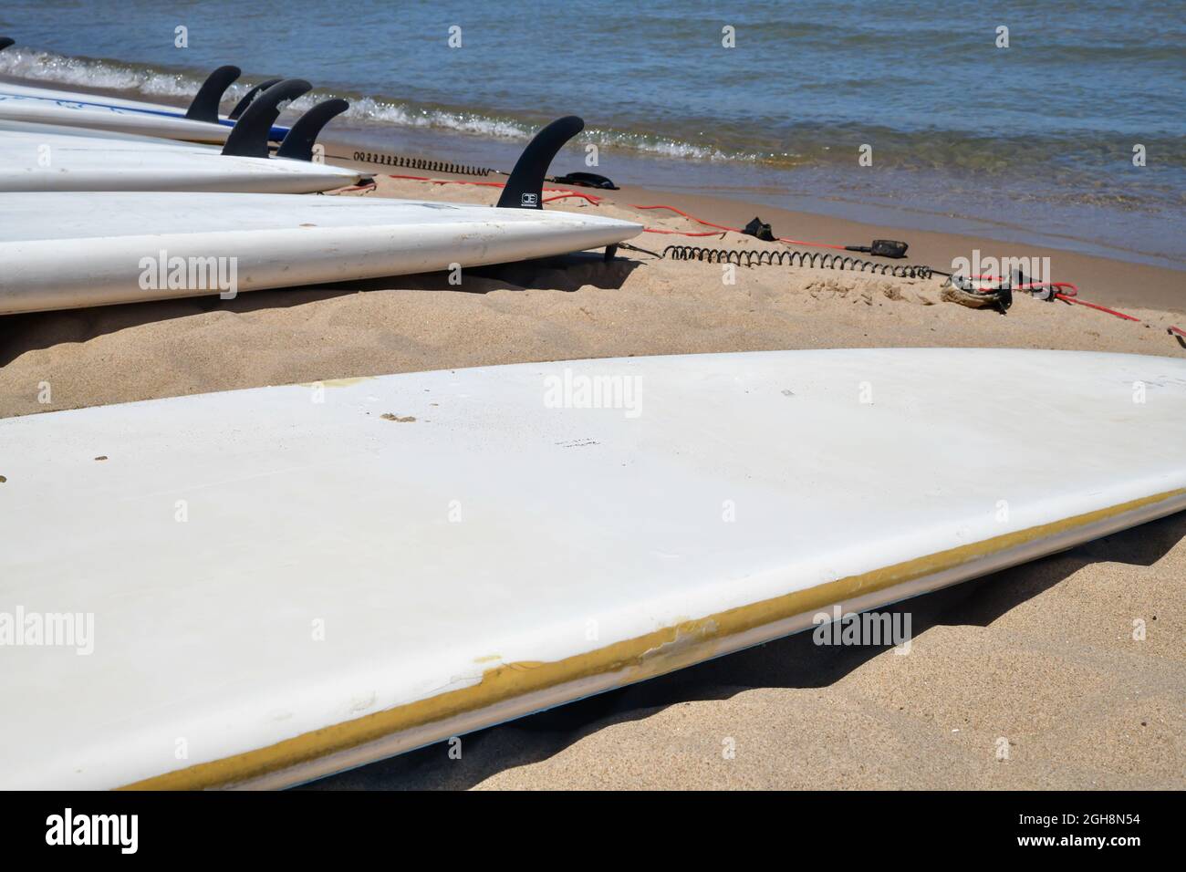 paddle boards laying on the beach in summer Stock Photo - Alamy