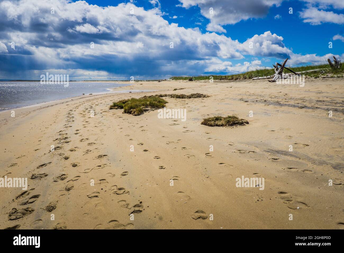 The beautiful sandy beach of the Portneuf sur Mer sandbank in Cote Nord ...