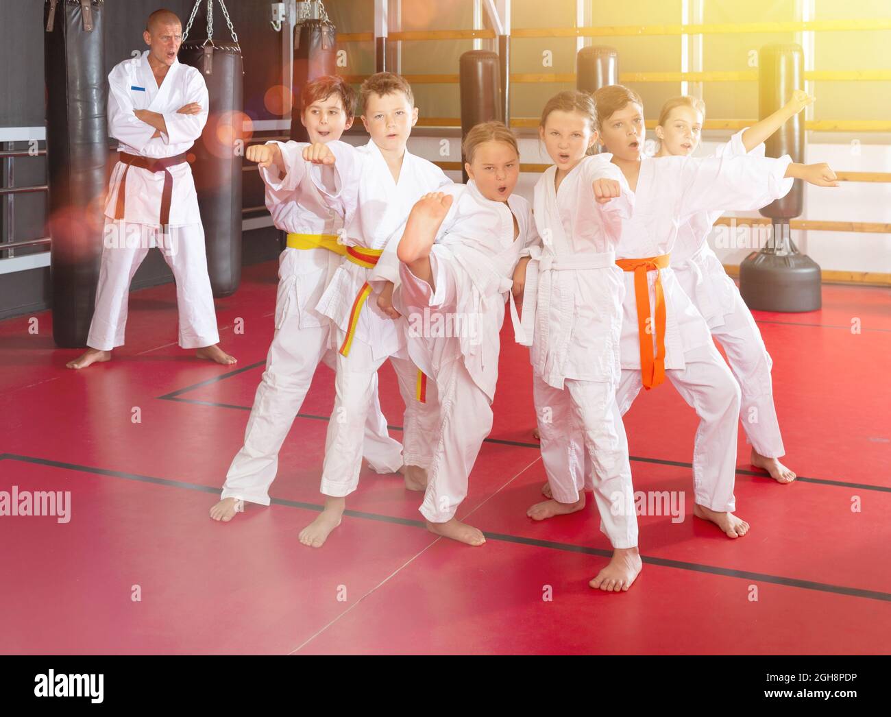 Group of karate kids in kimono standing in gym with their trainer Stock ...