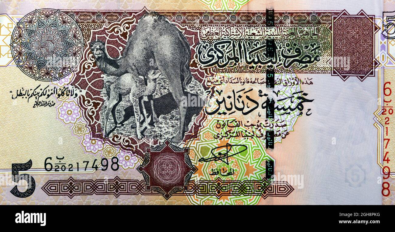 Five libyan dinars hi-res stock photography and images - Alamy
