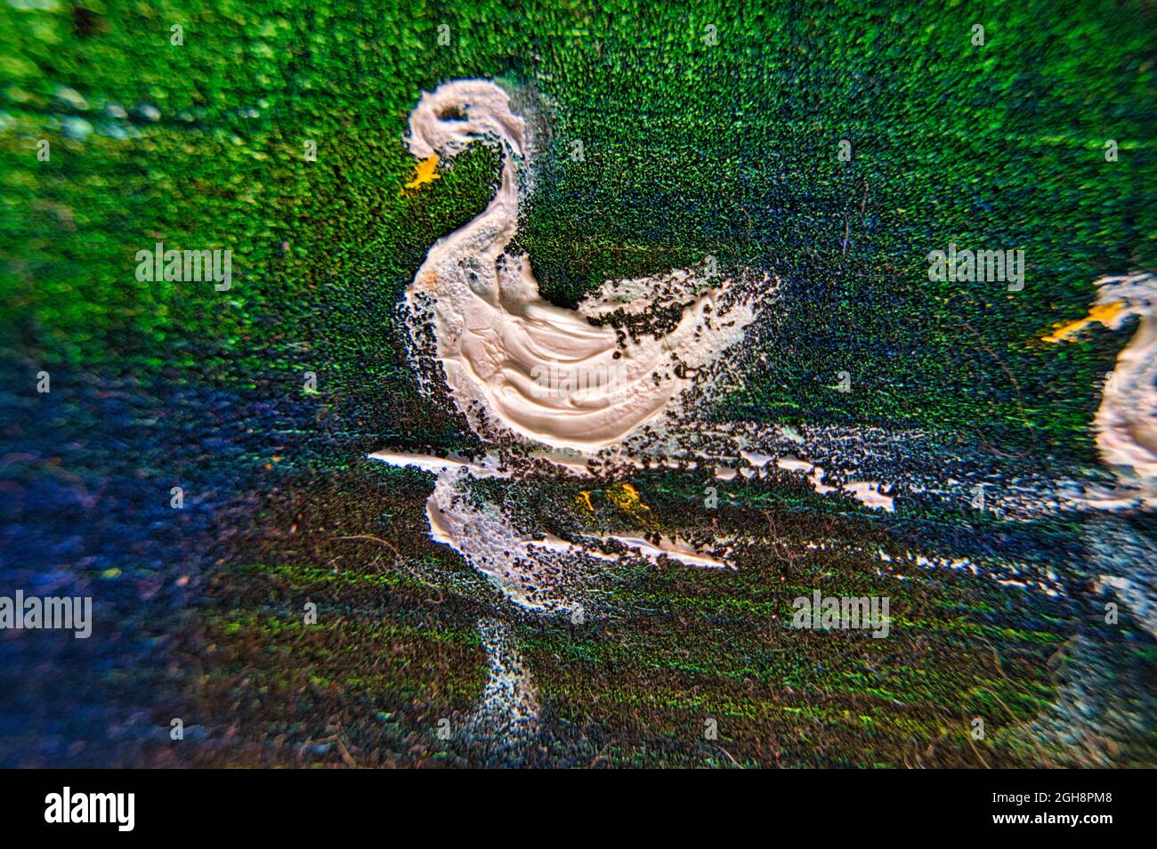 Animal drowing hi-res stock photography and images - Alamy