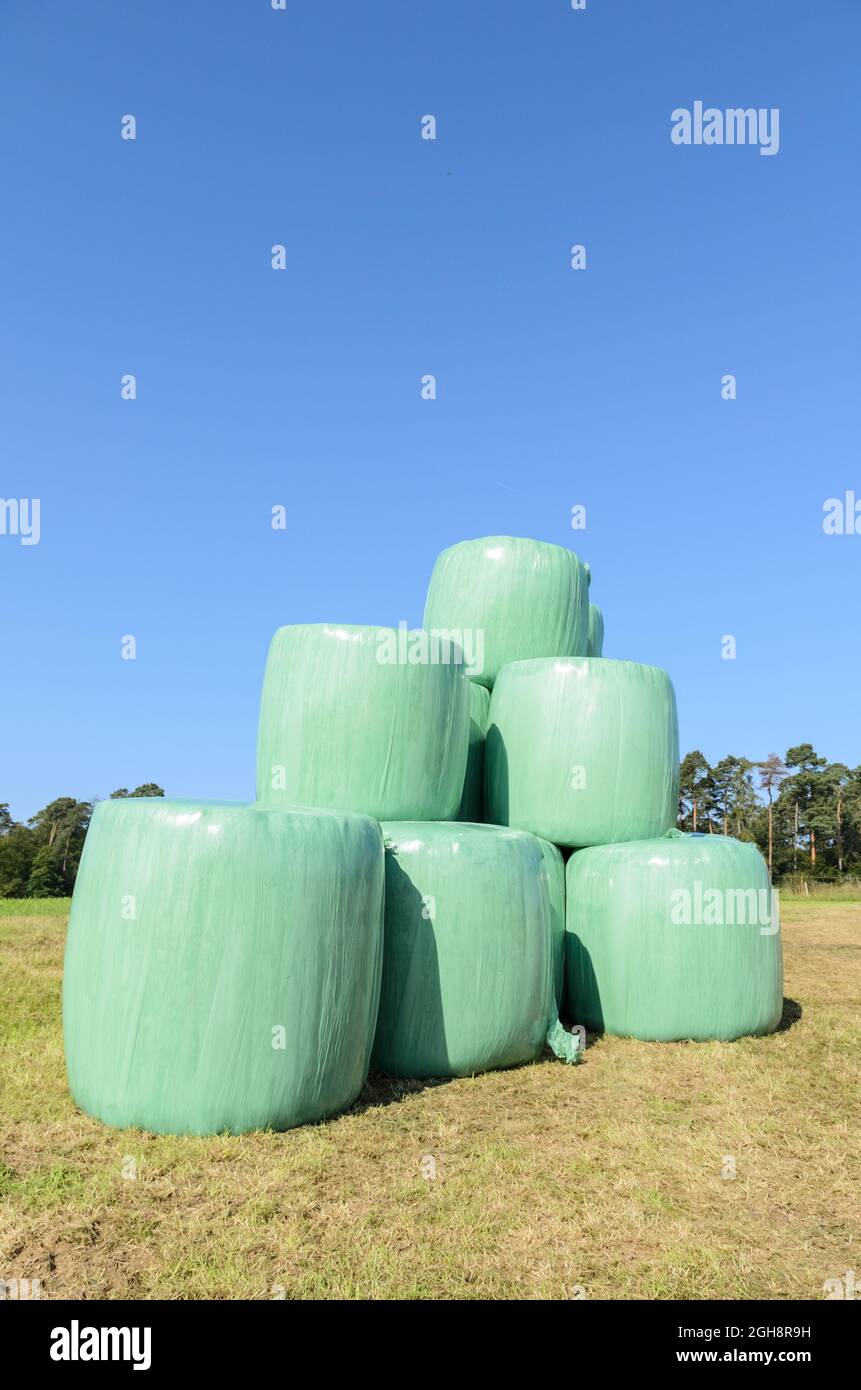 Pile of hay hi-res stock photography and images - Alamy