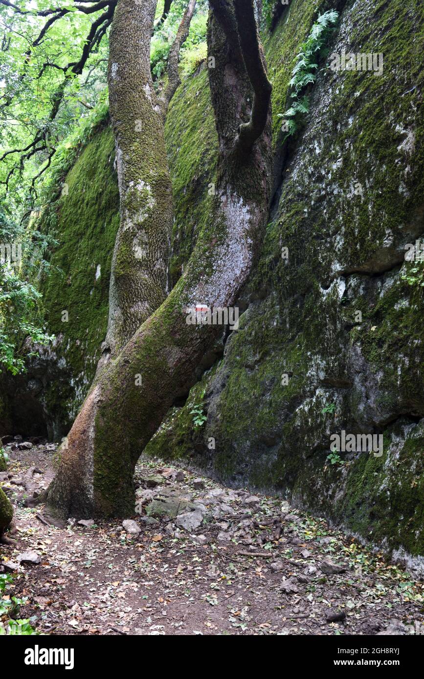 Gorges du luberon hi-res stock photography and images - Alamy