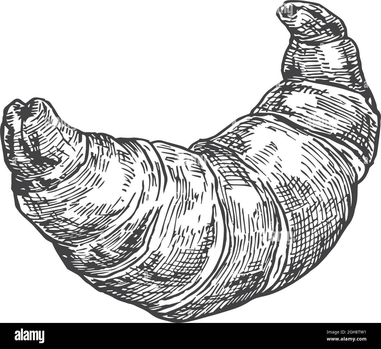 Croissant Bun Hand Drawn Doodle Vector Illustration. Bakery Sketch ...