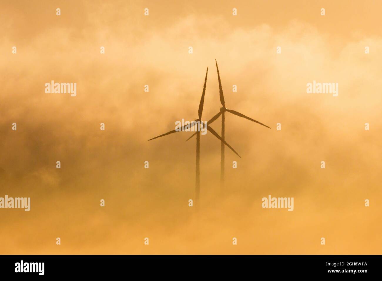 Wind turbine sunrise fog in hi-res stock photography and images - Alamy