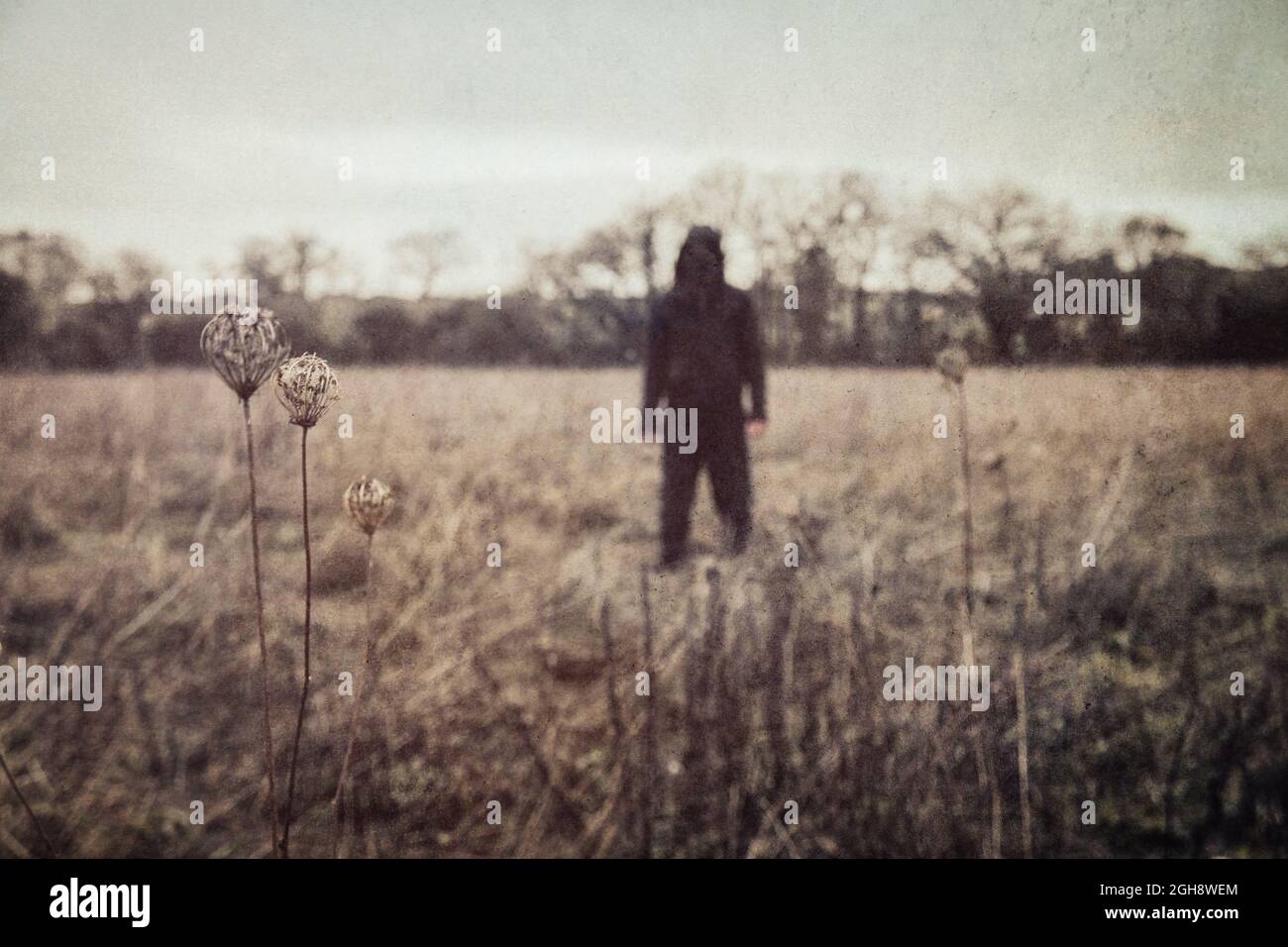 Ghost figure outside hi-res stock photography and images - Alamy