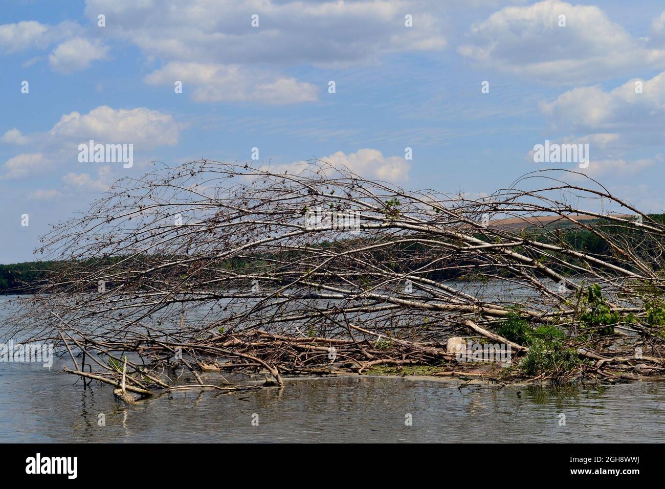 Danube River at the meeting of the hot summer Natural areas on the ...