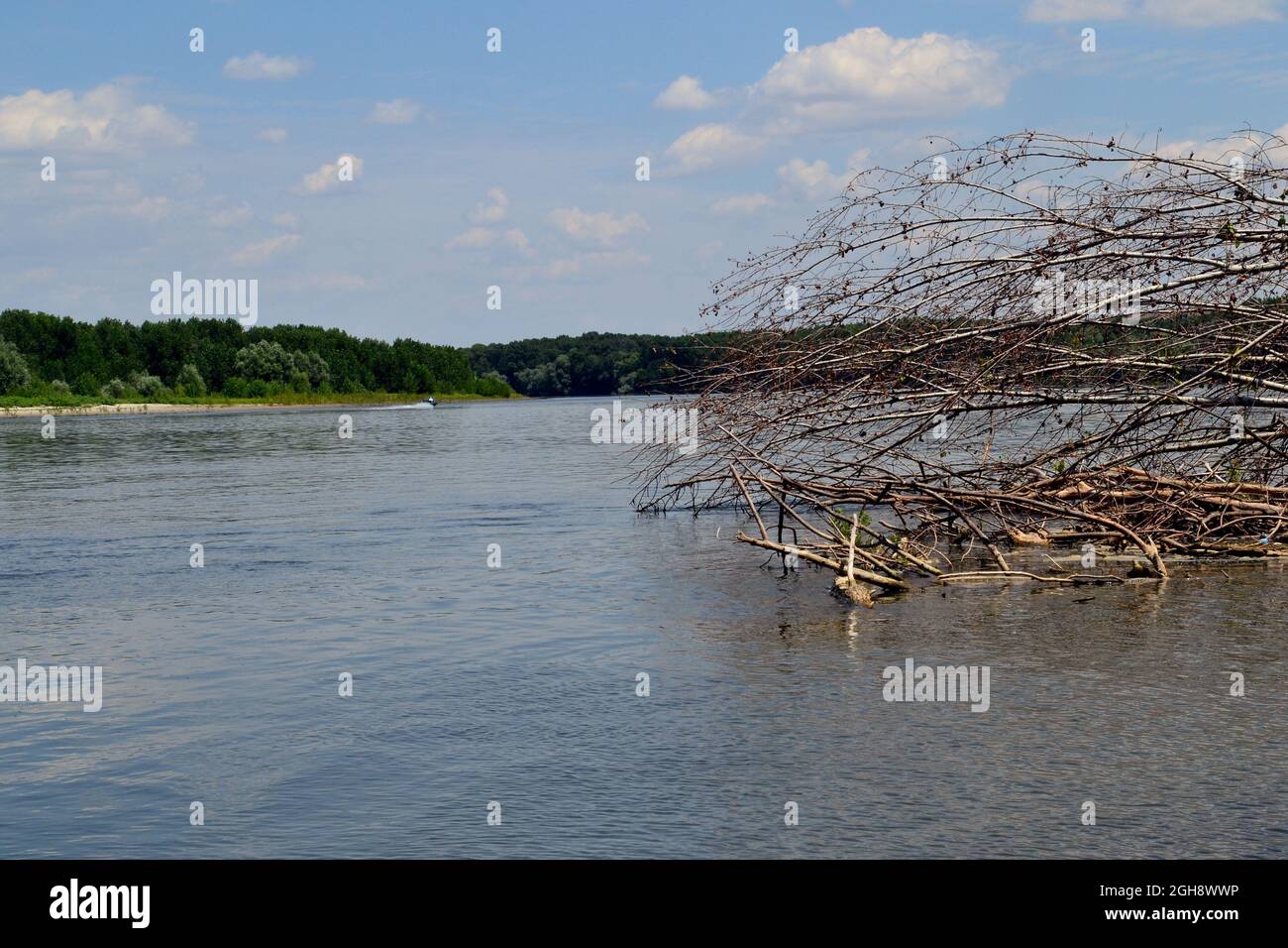 Danube River at the meeting of the hot summer Natural areas on the ...