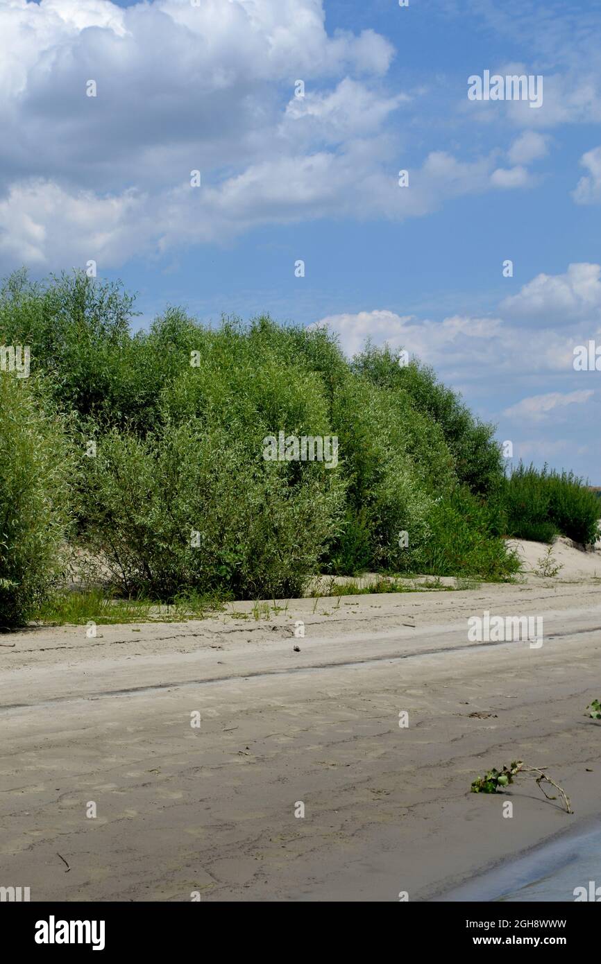Danube River at the meeting of the hot summer Natural areas on the ...
