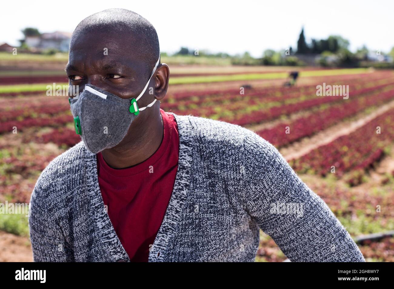 Portrait of african-american farmer in protective mask on the field ...