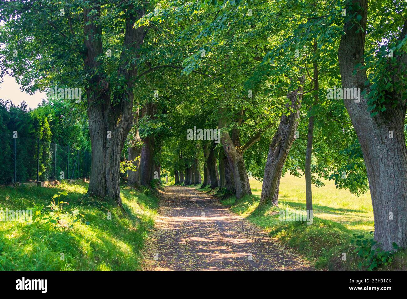 Czech mature hi-res stock photography and images - Alamy
