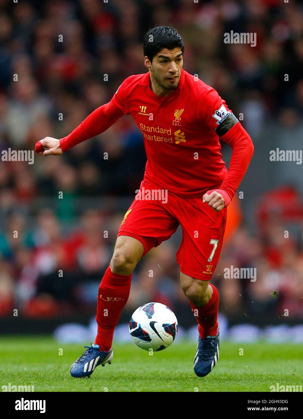 Suarez hi-res stock photography and images - Alamy