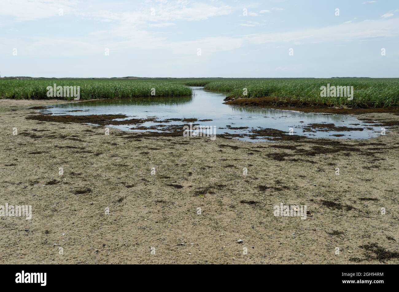 View of the marsh. Smooth water surface surrounded by grass. Cape Cod ...