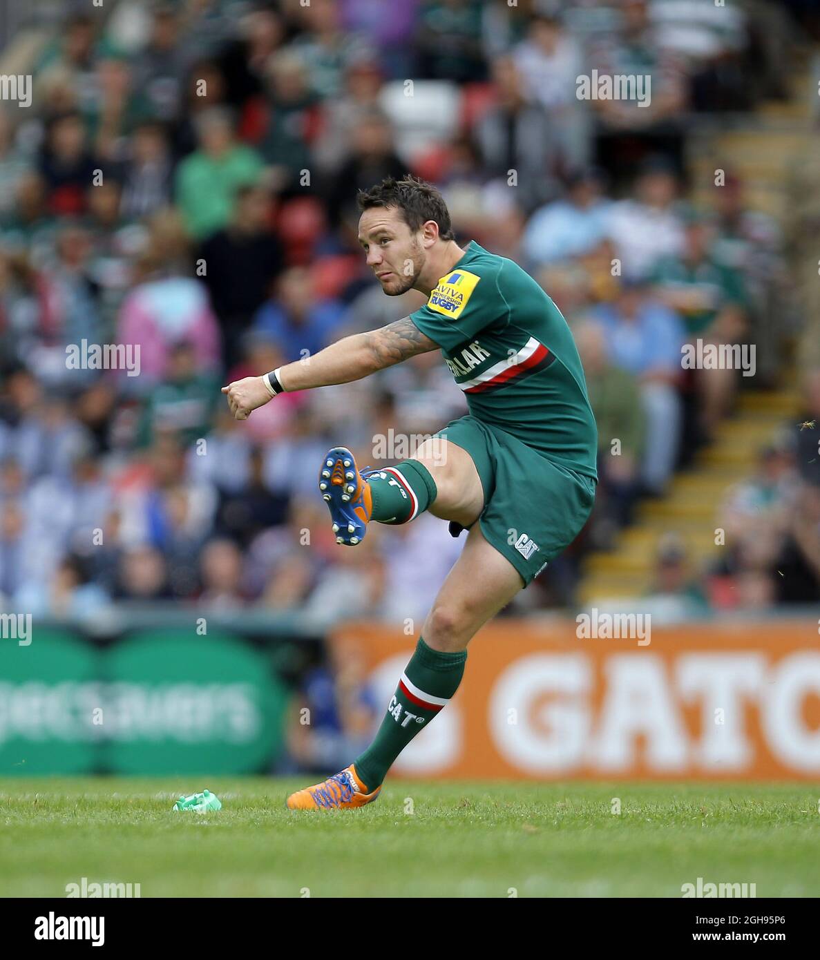 Ryan lamb hi-res stock photography and images - Alamy