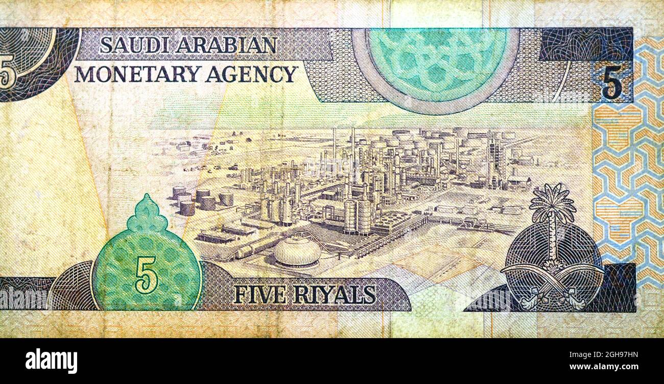 Large fragment of the reverse side of 5 five Saudi riyals banknote ...