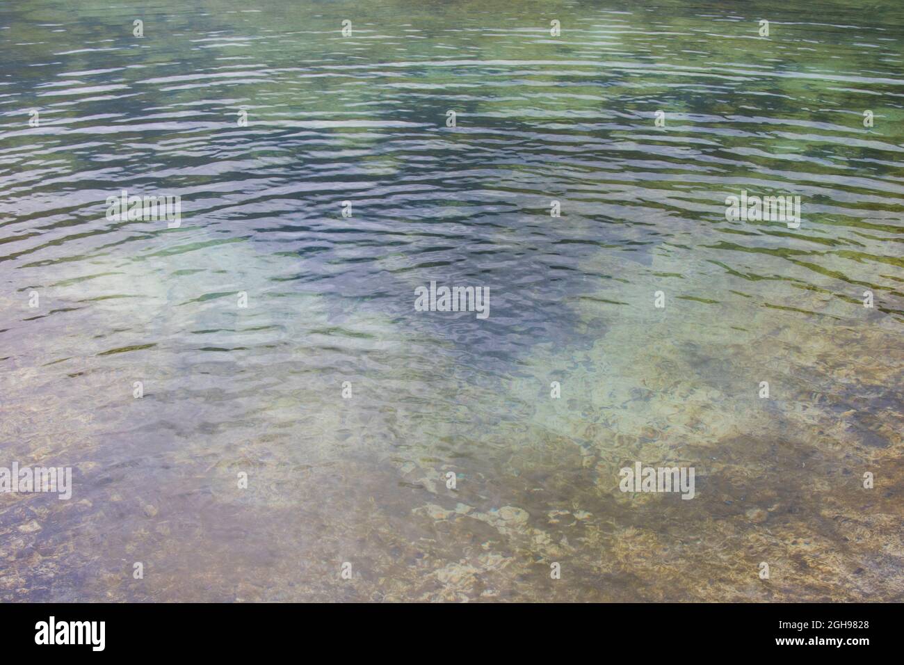 Green water background, high angle view. Water texture Stock Photo - Alamy