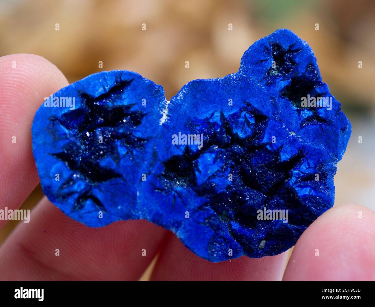 azurite mineral specimen stone rock geology gem crystal Stock Photo - Alamy
