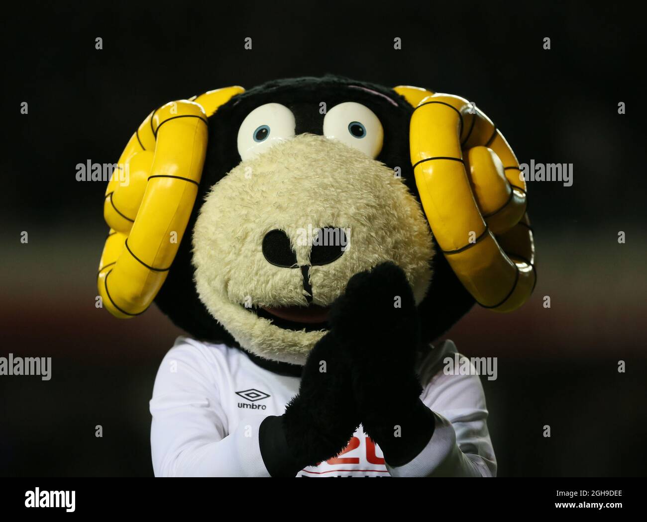 Derby ram hi-res stock photography and images - Alamy