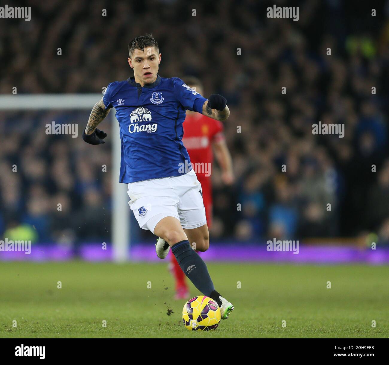 Muhamed Besic of Everton during the Barclays Premier League match ...
