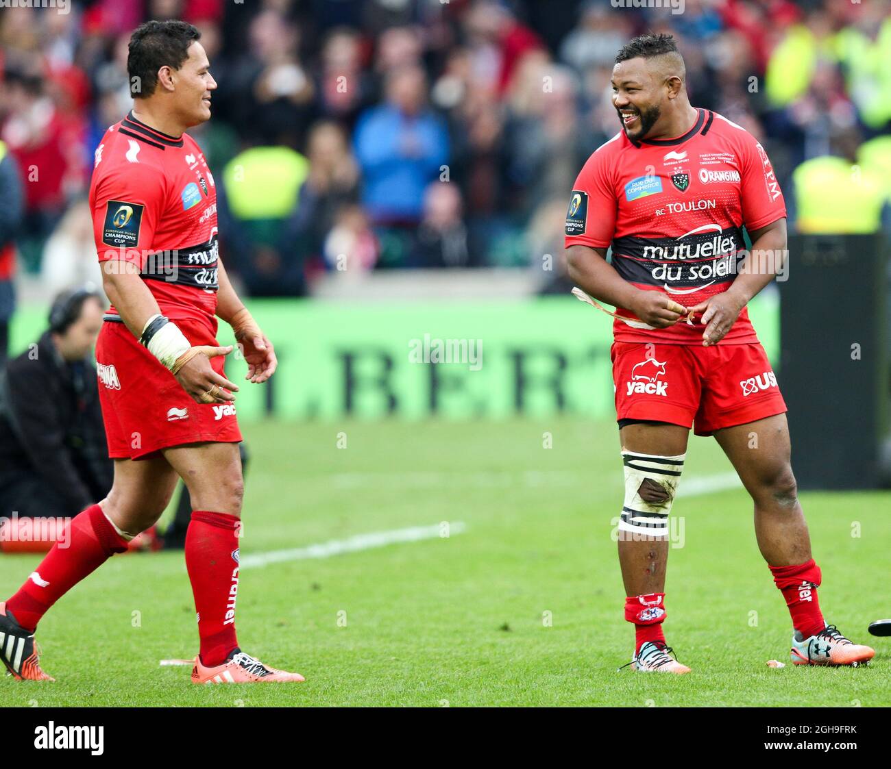 Toulons chris masoe hi-res stock photography and images - Alamy