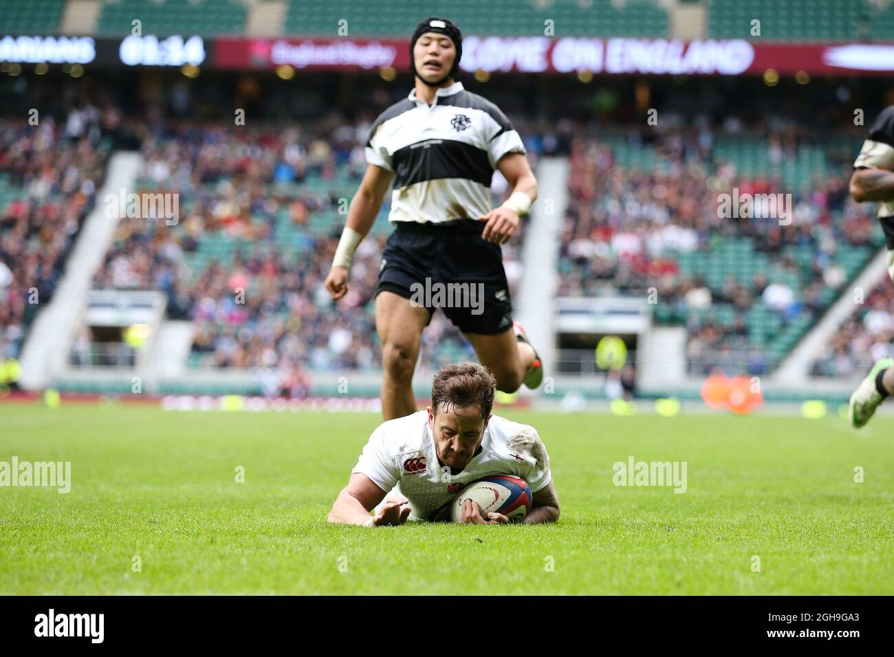 37310395 hi-res stock photography and images - Alamy