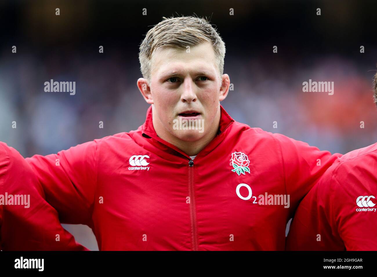 37310338 hi-res stock photography and images - Alamy