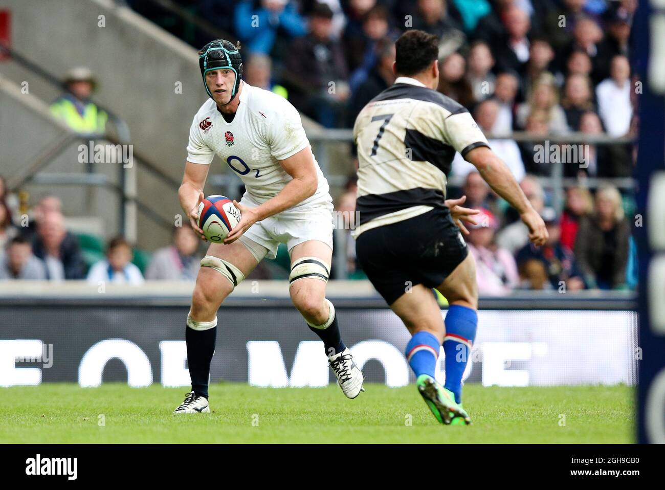 James gaskell wasps hi-res stock photography and images - Alamy