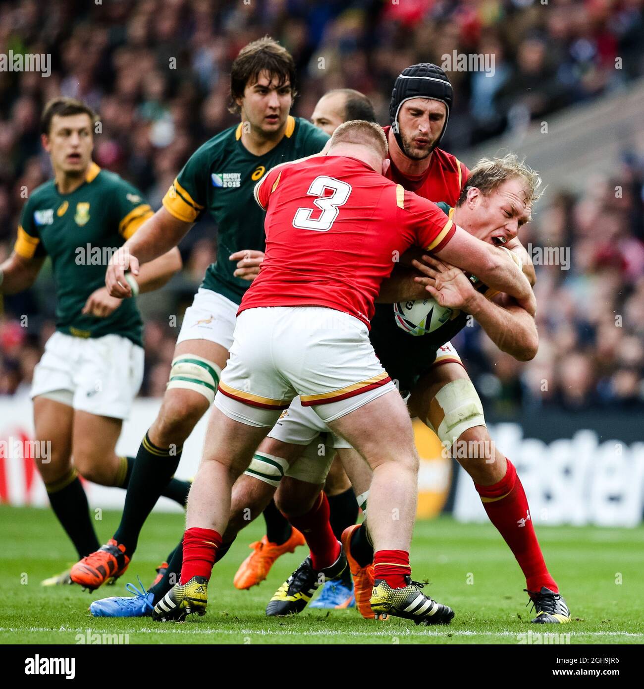 Schalk burger world cup hi-res stock photography and images - Alamy