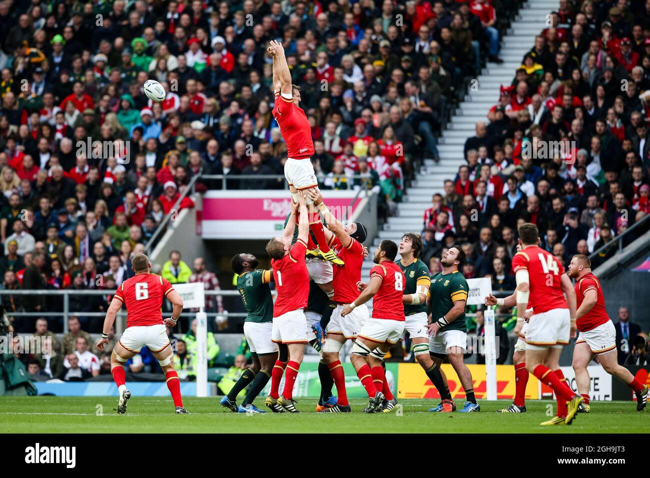 Lineout rugby world cup hi-res stock photography and images - Alamy