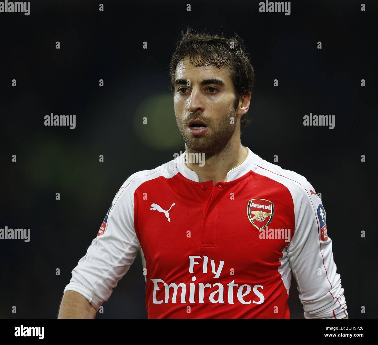 Stadium simon mathieu hi-res stock photography and images - Alamy