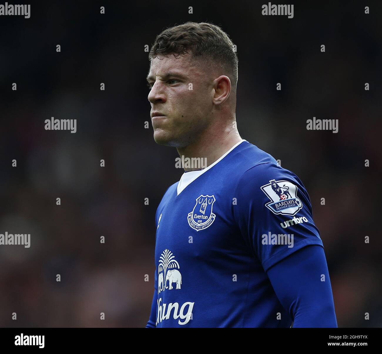 Barkley everton hi-res stock photography and images - Alamy