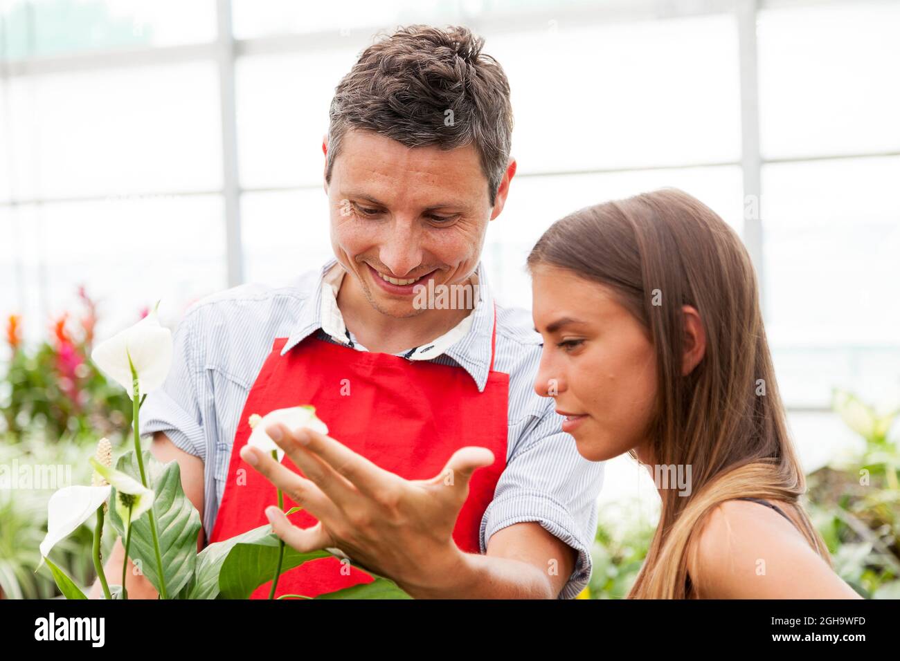 smiling salesman sells a plant to a pretty customer Stock Photo - Alamy