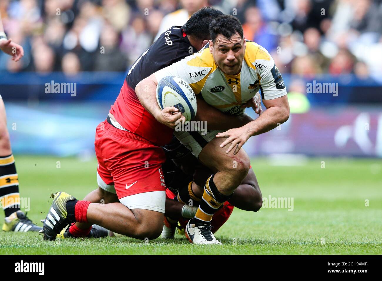 Wasps rugby stadium hi-res stock photography and images - Alamy