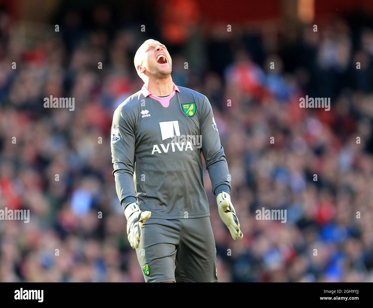 Norwich's John Ruddy looks on dejected during the Barclays Premier ...