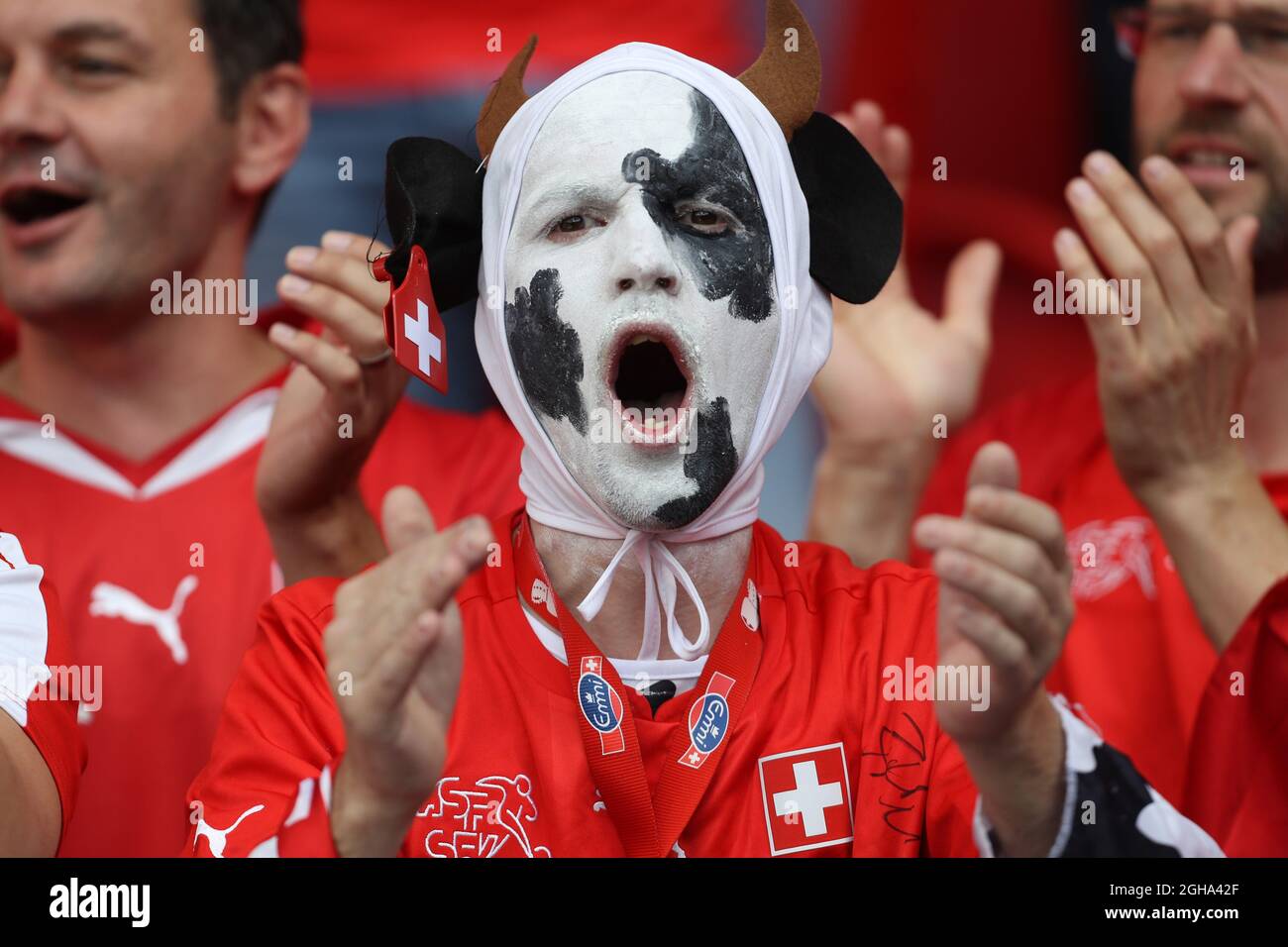 A Switzerland fan during the UEFA European Championship 2016 match at ...