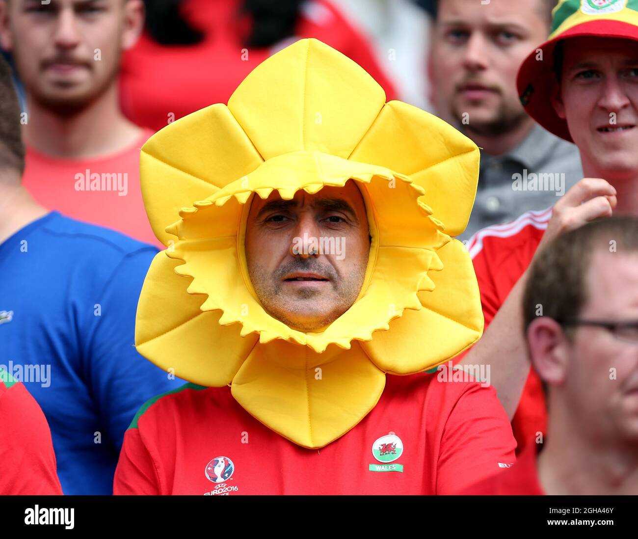 Welsh fans before the UEFA European Championship 2016 match at the ...