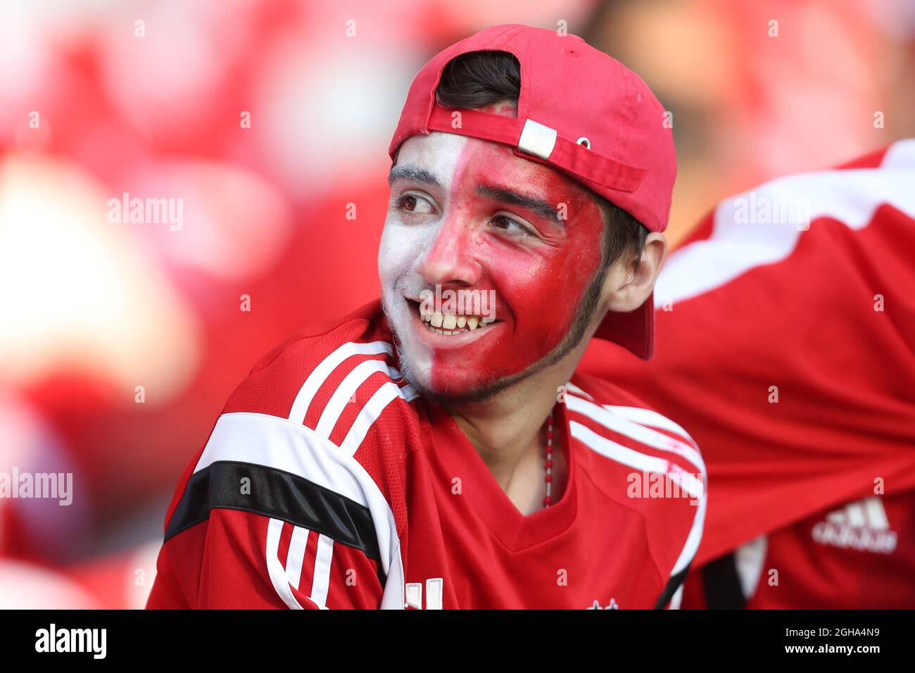 Turkey fan during the UEFA European Championship 2016 match at the ...