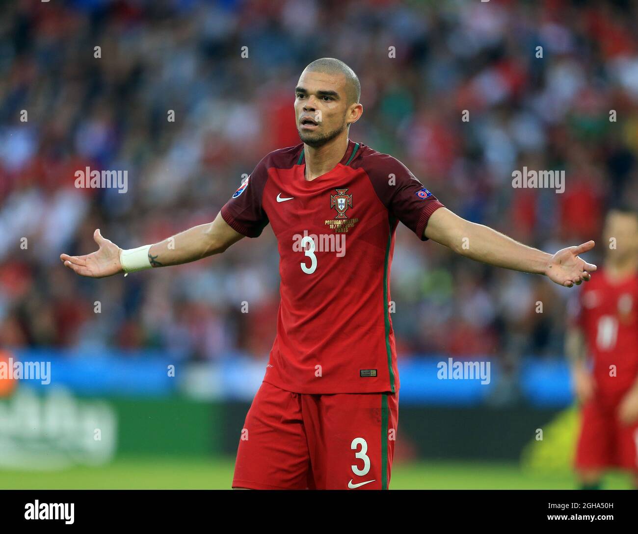 Portugal's Pepe protests his innocence during the UEFA European ...