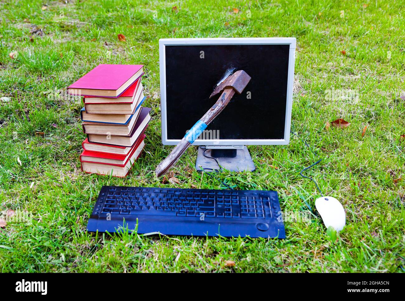 Axe in a Computer Screen on the Grass Background with a Keyboard and a ...