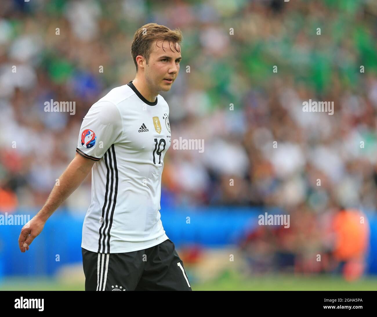 Gotze david hi-res stock photography and images - Alamy