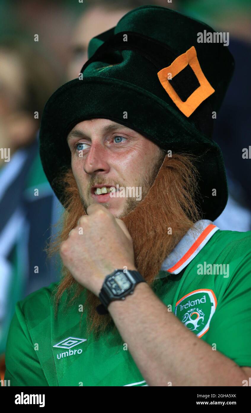 Irish soccer fan hi-res stock photography and images - Alamy